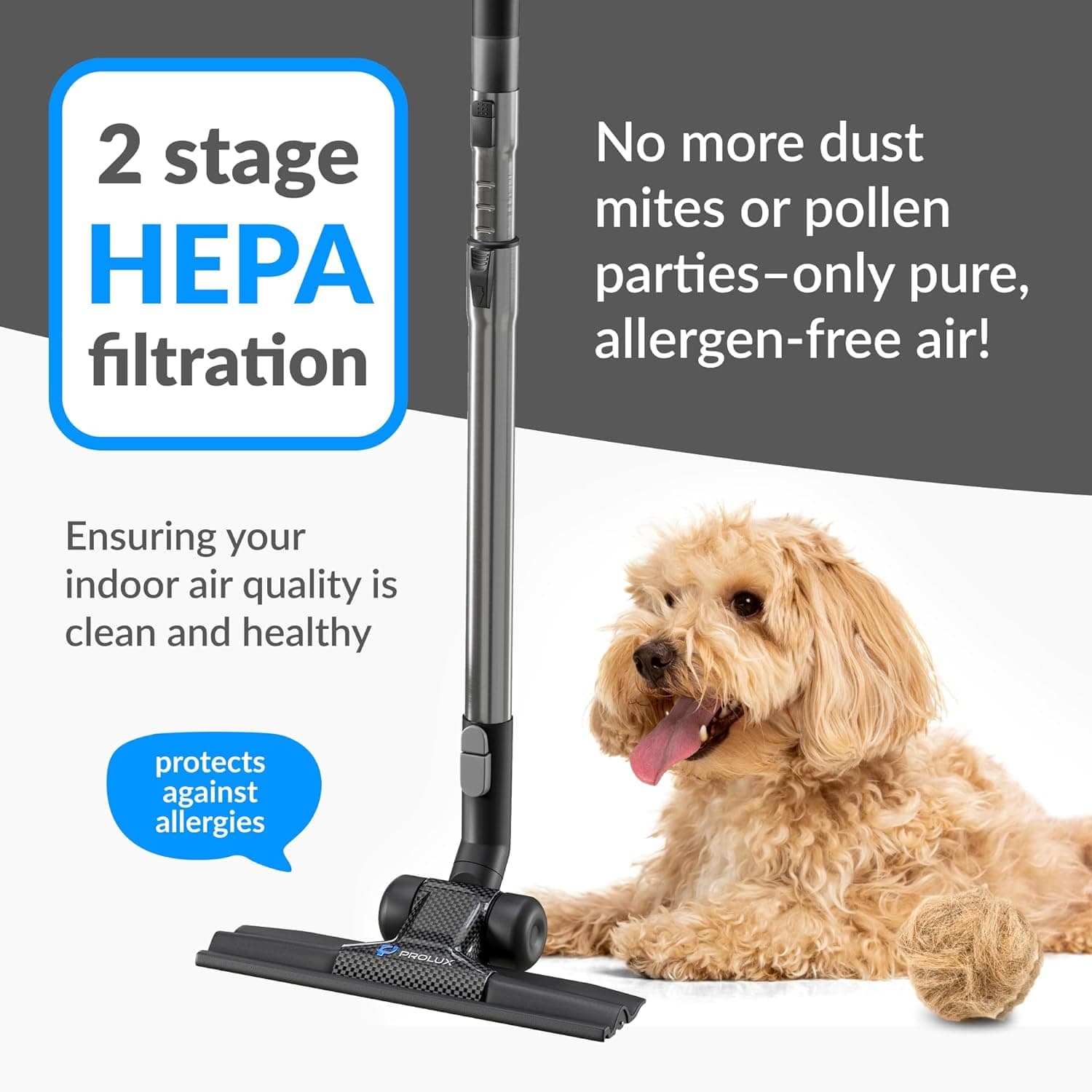 Prolux RS4 Lightweight Bagless Canister Vacuum with HEPA Filtration Pr ...